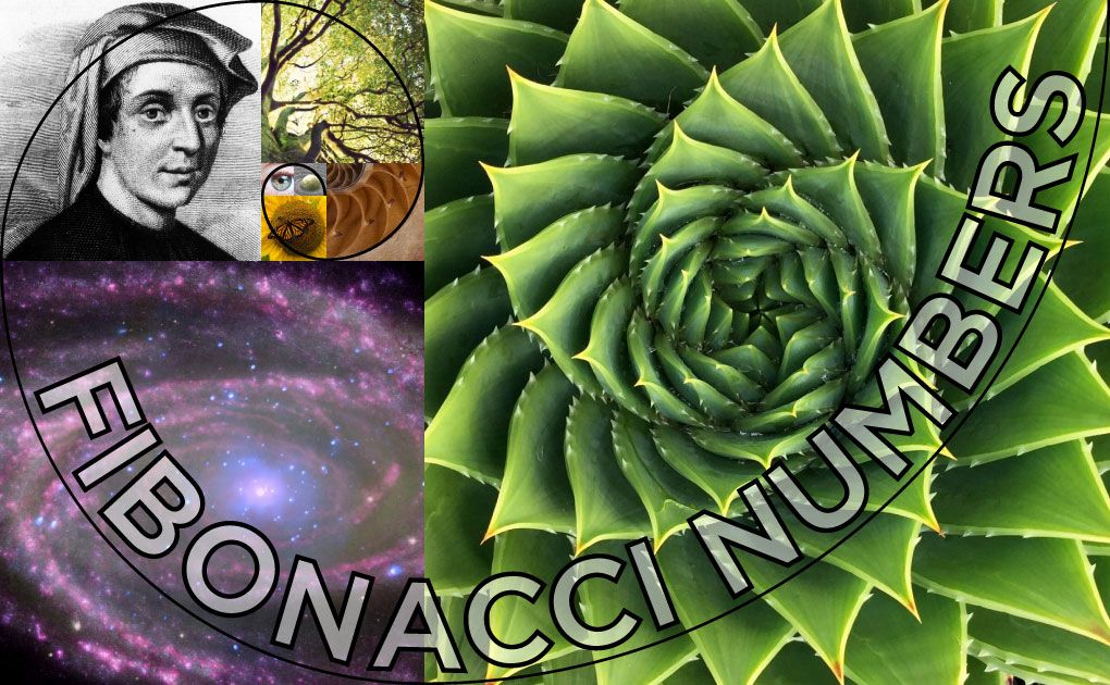 BertGyver - Fibonacci